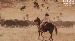 'Not My First Rodeo': SD Gov. Kristi Noem Reflects on Life Lessons from ...