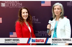 Securing Elections in Michigan