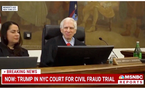 New York Judge Caught Smiling during Trump Trial Is Lifelong Democrat Donor