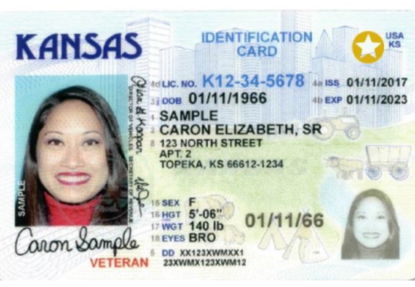 Kansas Judge Rules Driver's Licenses Must State Actual Sex, Not 'Gender ...