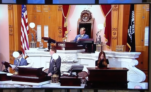 Ohio Senate Overrides DeWine Veto of Bill Protecting Kids from ...