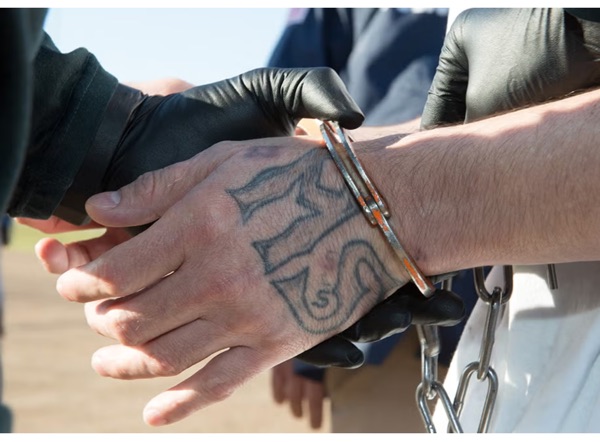 'Massive Victory': Top MS-13 Gang Member Arrested in Virginia
