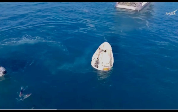 WATCH: Dragon Capsule Splashdown Greeted by Dolphins, and Astronaut ...
