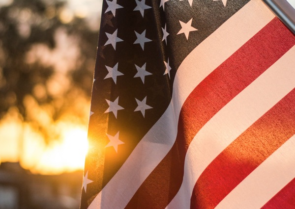 The European Mind Meets America, and Falls in Love