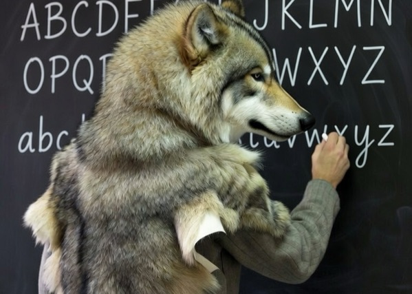 Pentagon Fires Sicko Male 'Transgender Wolf' Kindergarten Teacher at ...